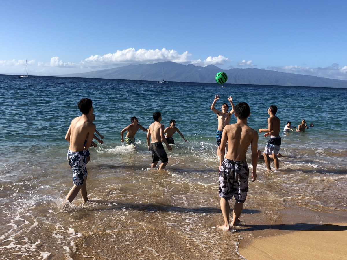 99BDA816-386D-4EBC-90D4-ED21120E896E | 日本大学豊山高等学校・中学校